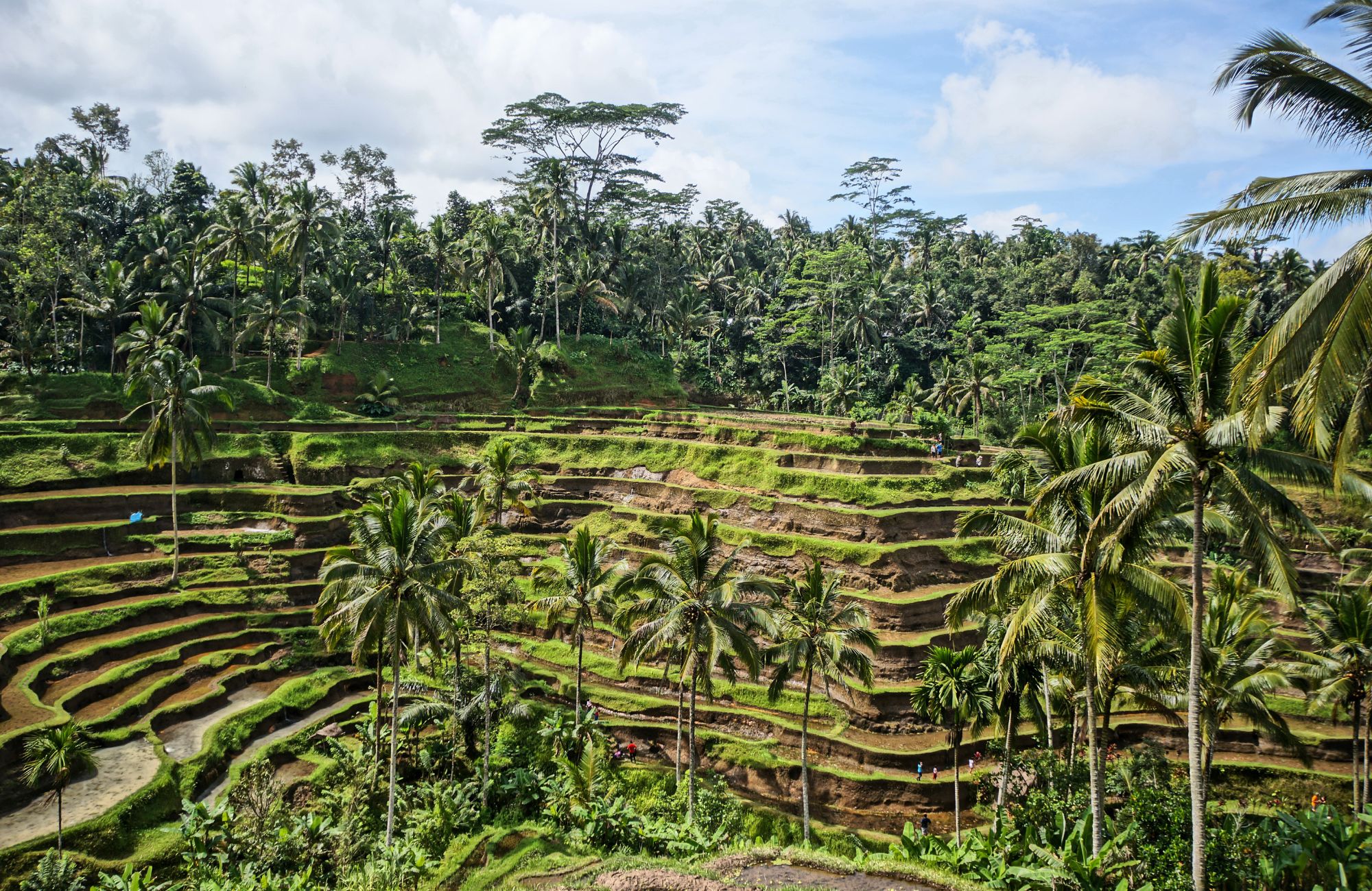 Escape to Tranquility atTjendana Kanaka Jungle Resort Ubud